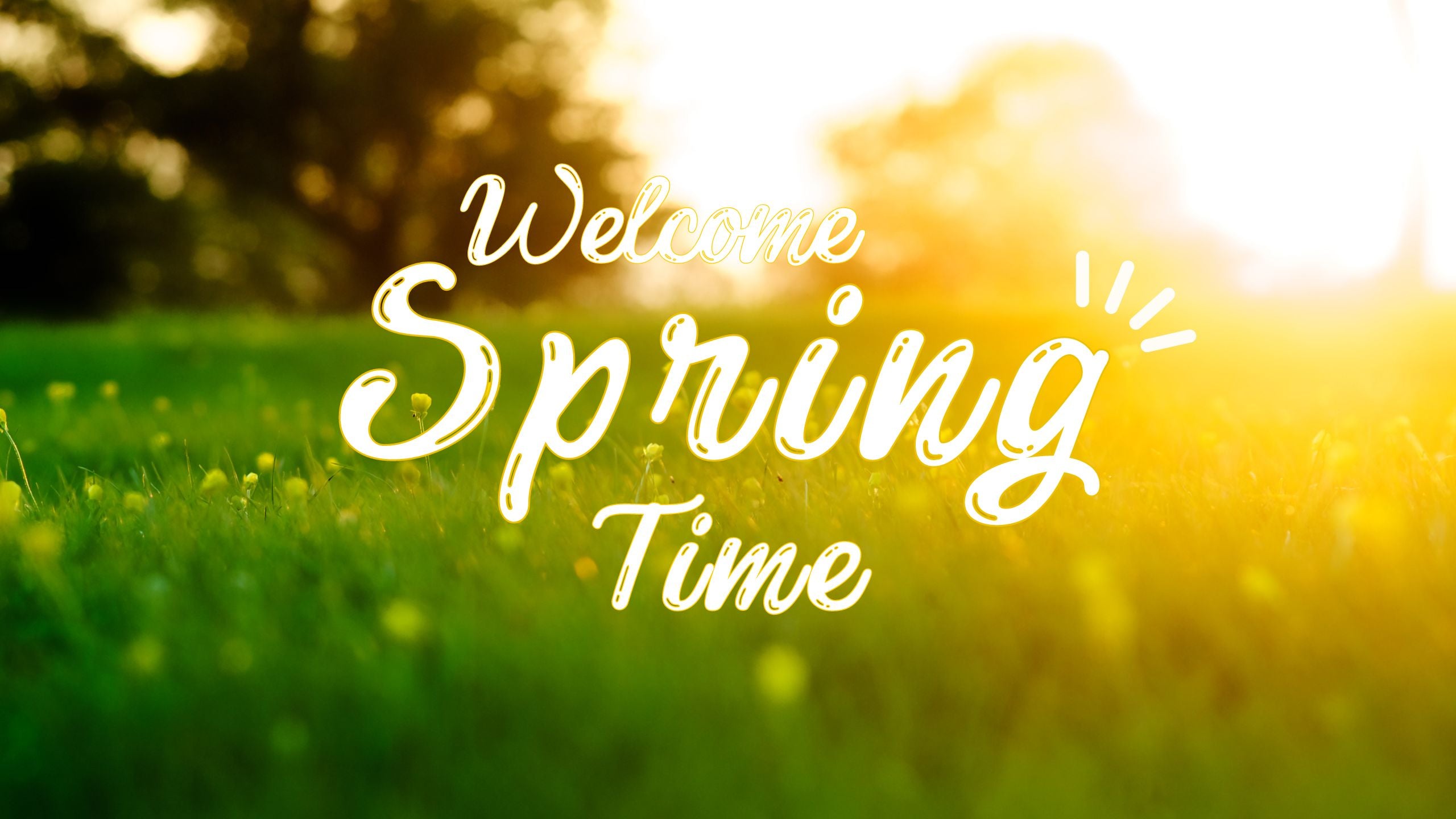 Spring Collection – Stay Fresh with Peanut