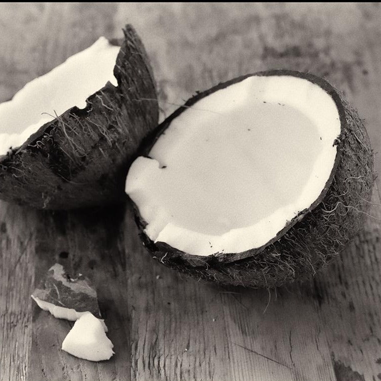Black Coconut Fragrance Oil – Stay Fresh with Peanut